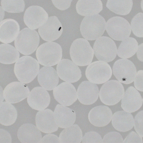 Inspection and classification: Effective evaluation & distribution of ...