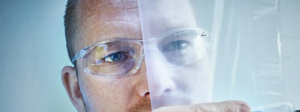 Web Inspection - OCS Optical Control Systems GmbH