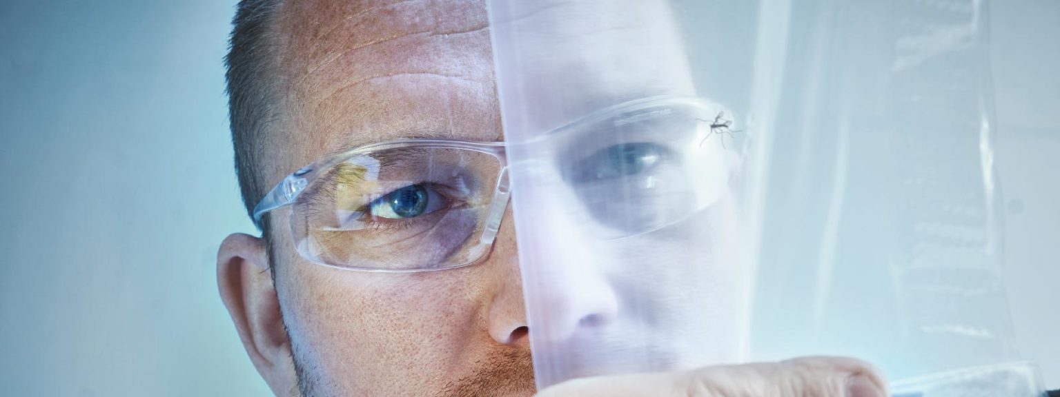 Web Inspection - OCS Optical Control Systems GmbH