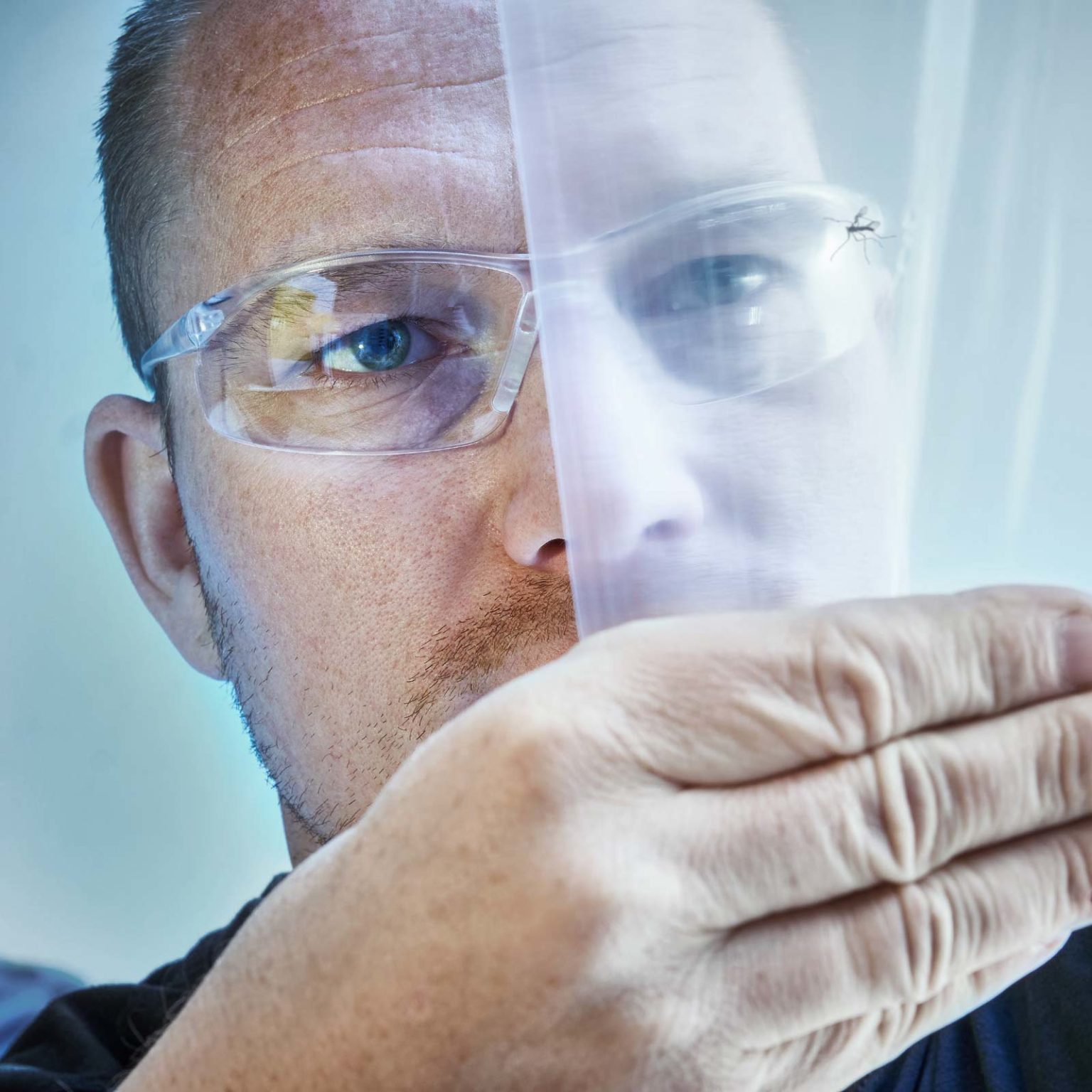 Home - OCS Optical Control Systems GmbH